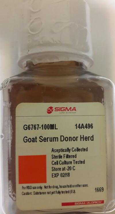 گوات سرم دونور هرد کد کالا G6767 سیگما آلدریچ 6X500 میلی لیتر| G۶۷۶۷ ...